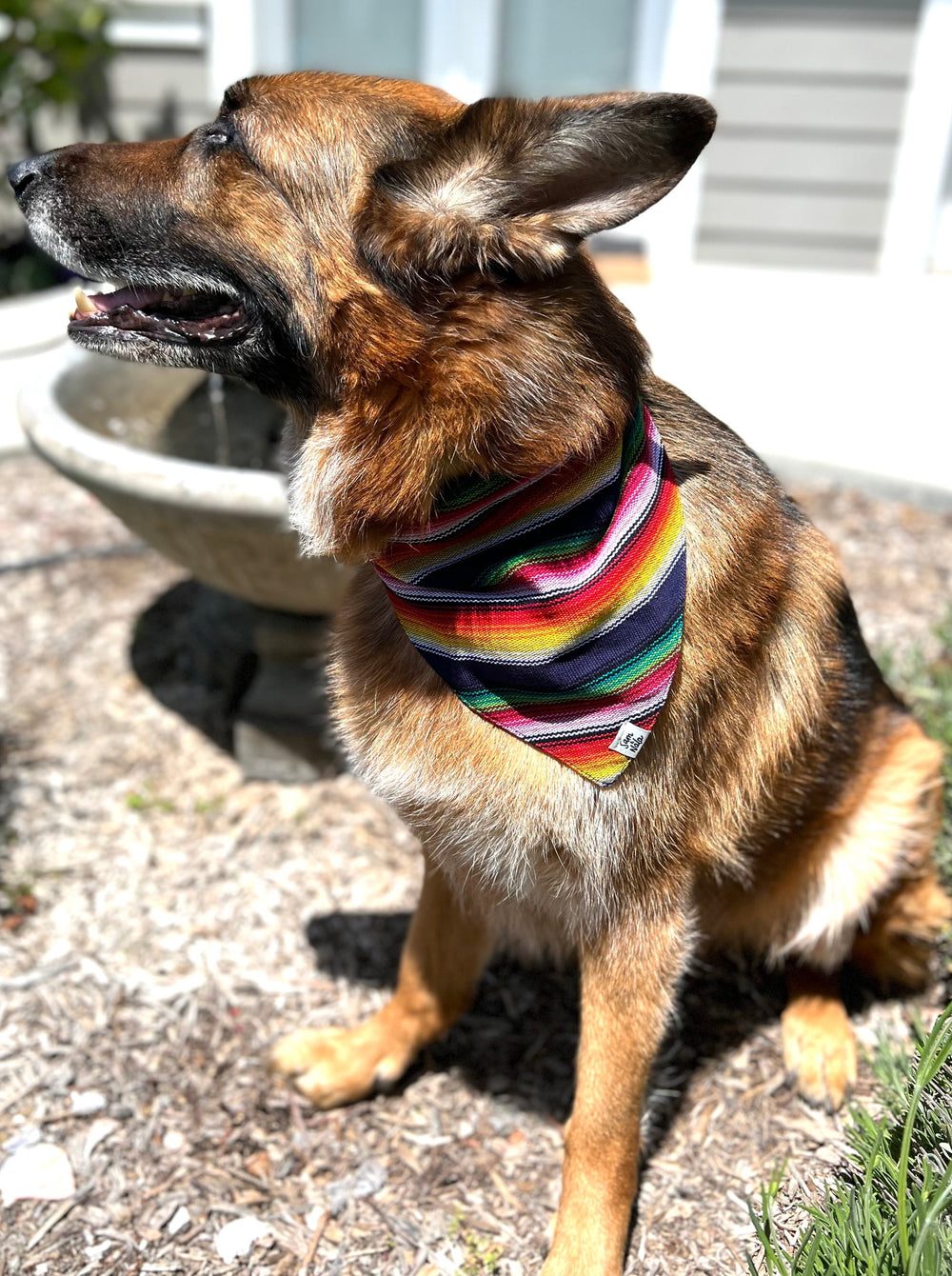 Dog Bandanas - Small, Medium & Large Sizes